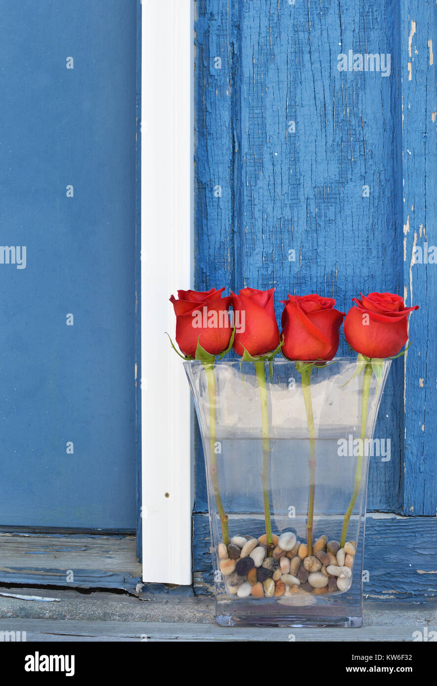 A glass vase with four red roses against a blue background Stock Photo ...
