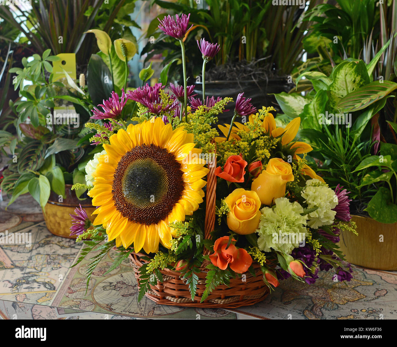 A country basket overflowing with sunflowers, roses and other garden ...