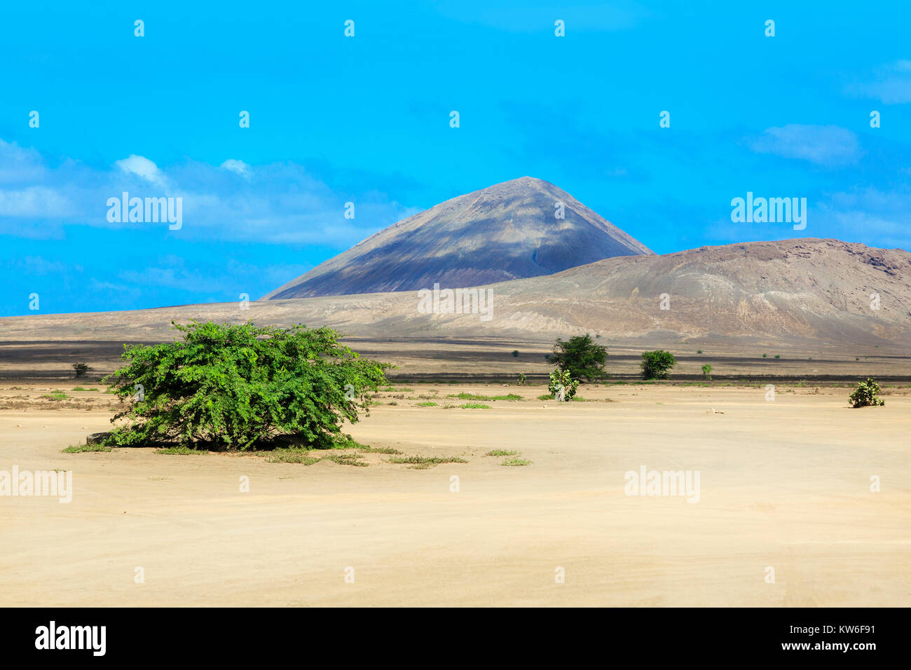 Terra boa sal hi-res stock photography and images - Alamy