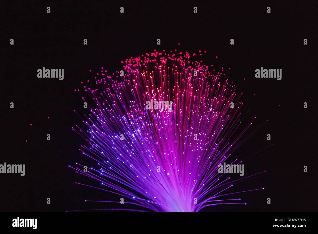 color fiber optical background on black, Fiber optics lights abstract ...