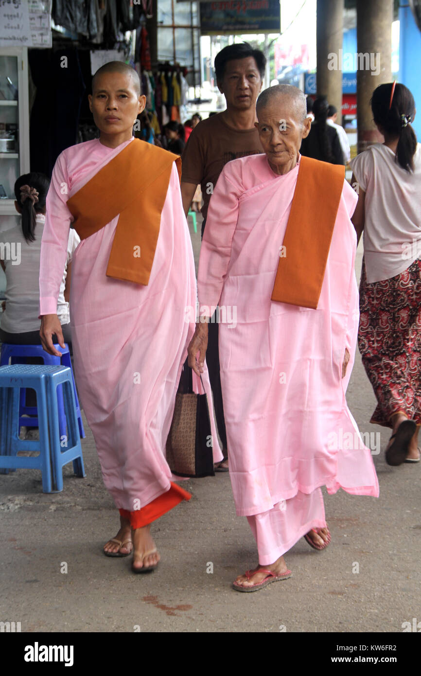Buddhist nun meditating hi-res stock photography and images - Alamy