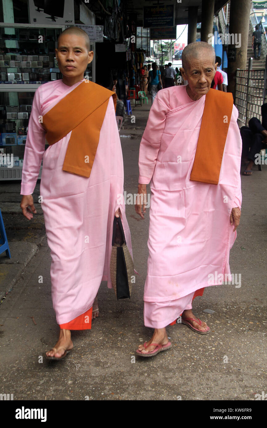 Buddhist nun meditating hi-res stock photography and images - Alamy