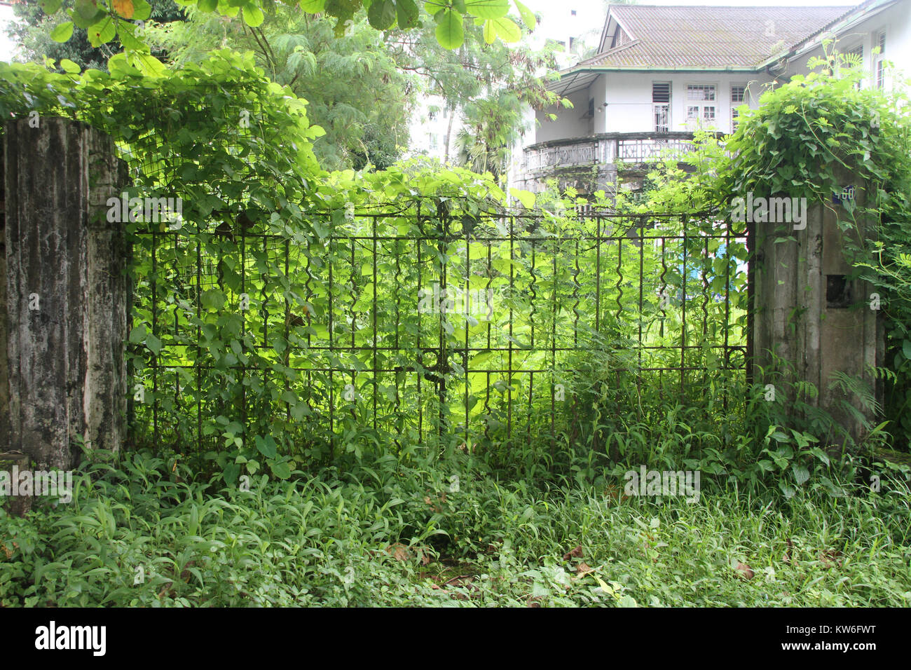 Gate of old house in Yangon, Myanmar Stock Photo - Alamy