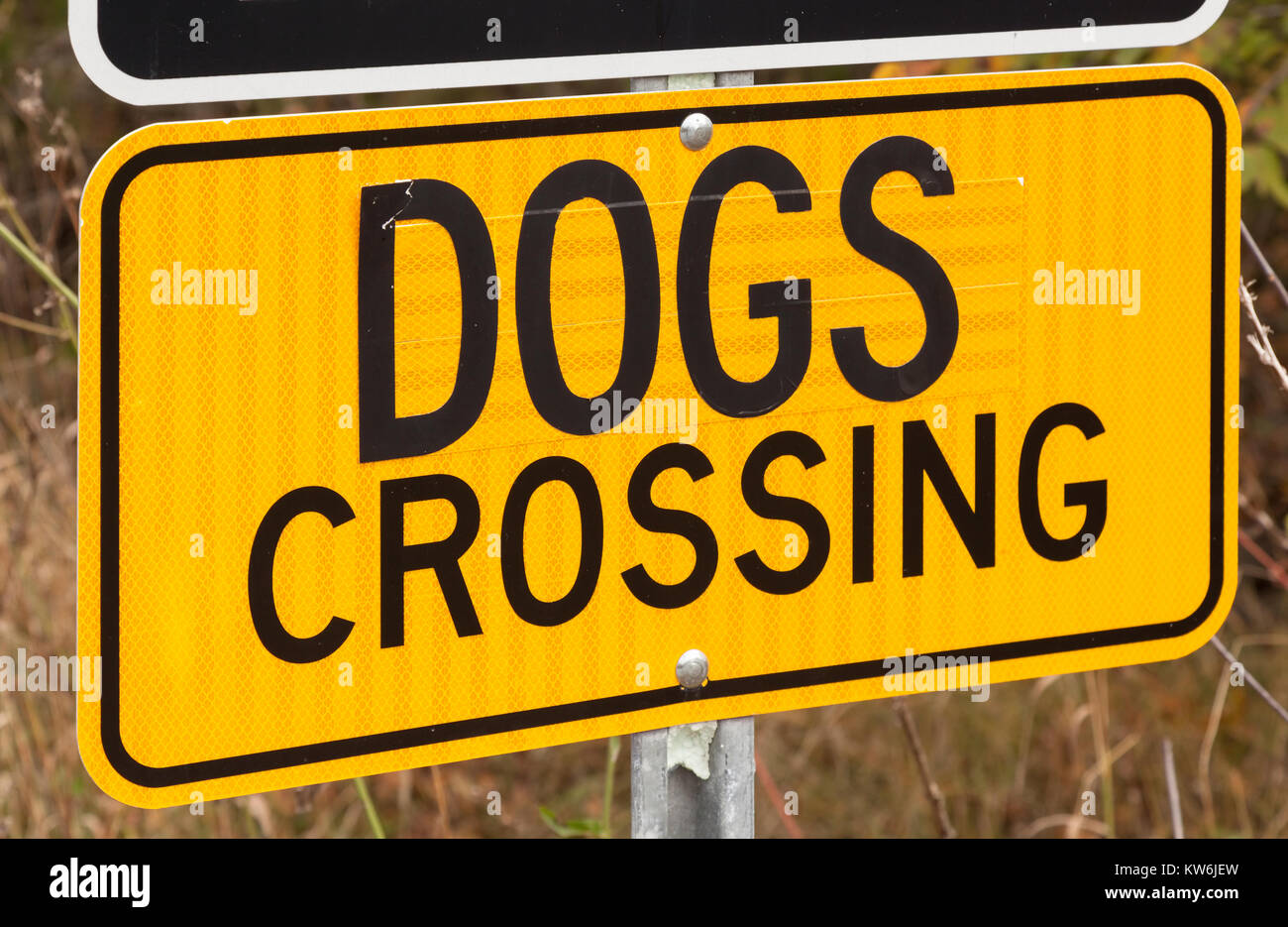 A reflective dogs crossing sign Stock Photo - Alamy