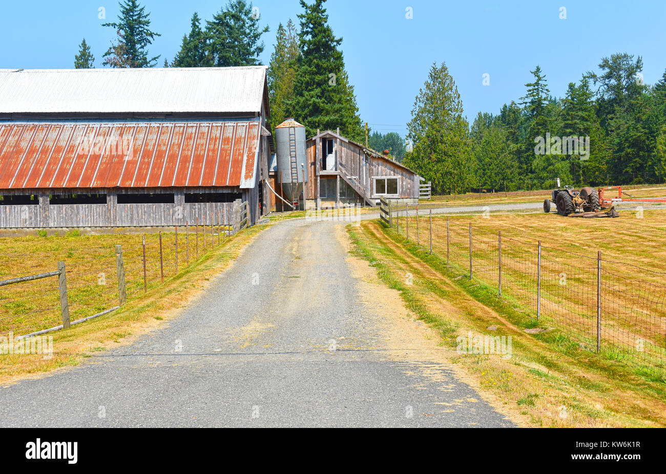 A cattle farm in the Pacific Northwest City of Bellingham, Washington ...