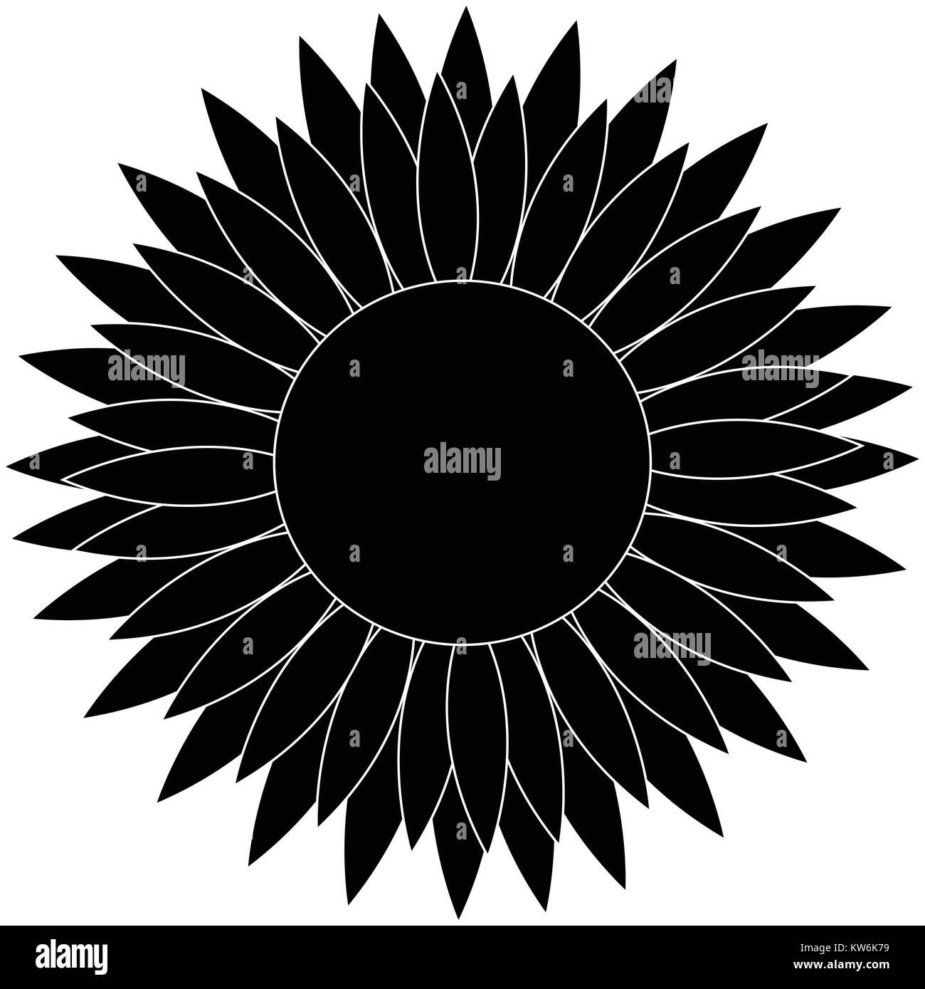 Spring flower composition white Black and White Stock Photos & Images ...