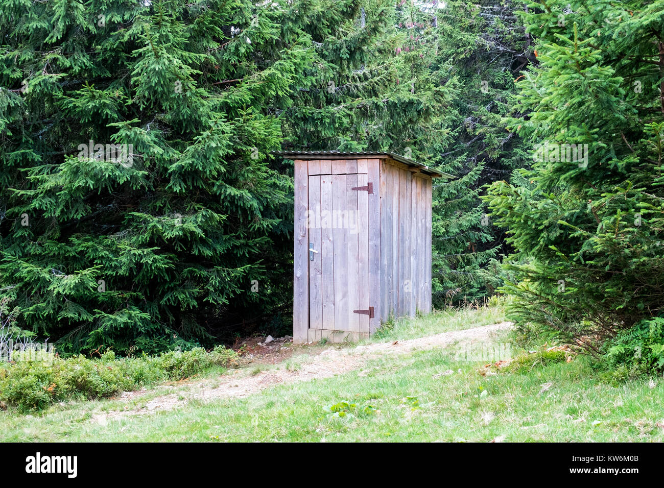 Wooden outdoor toilet built in the forest Stock Photo - Alamy