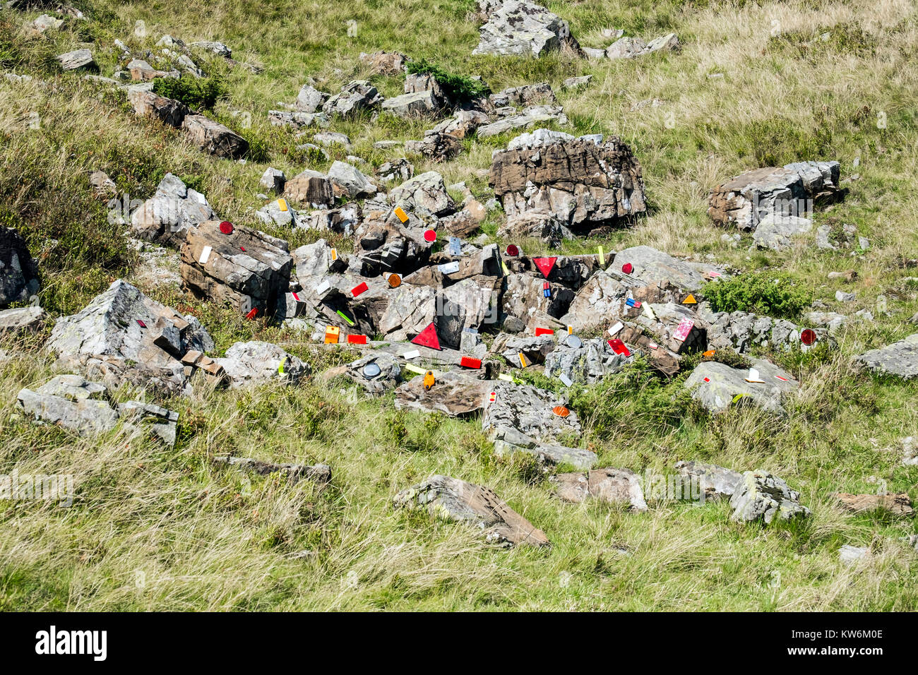 Cataphotes of different shapes and sizes are glued on stones in the ...