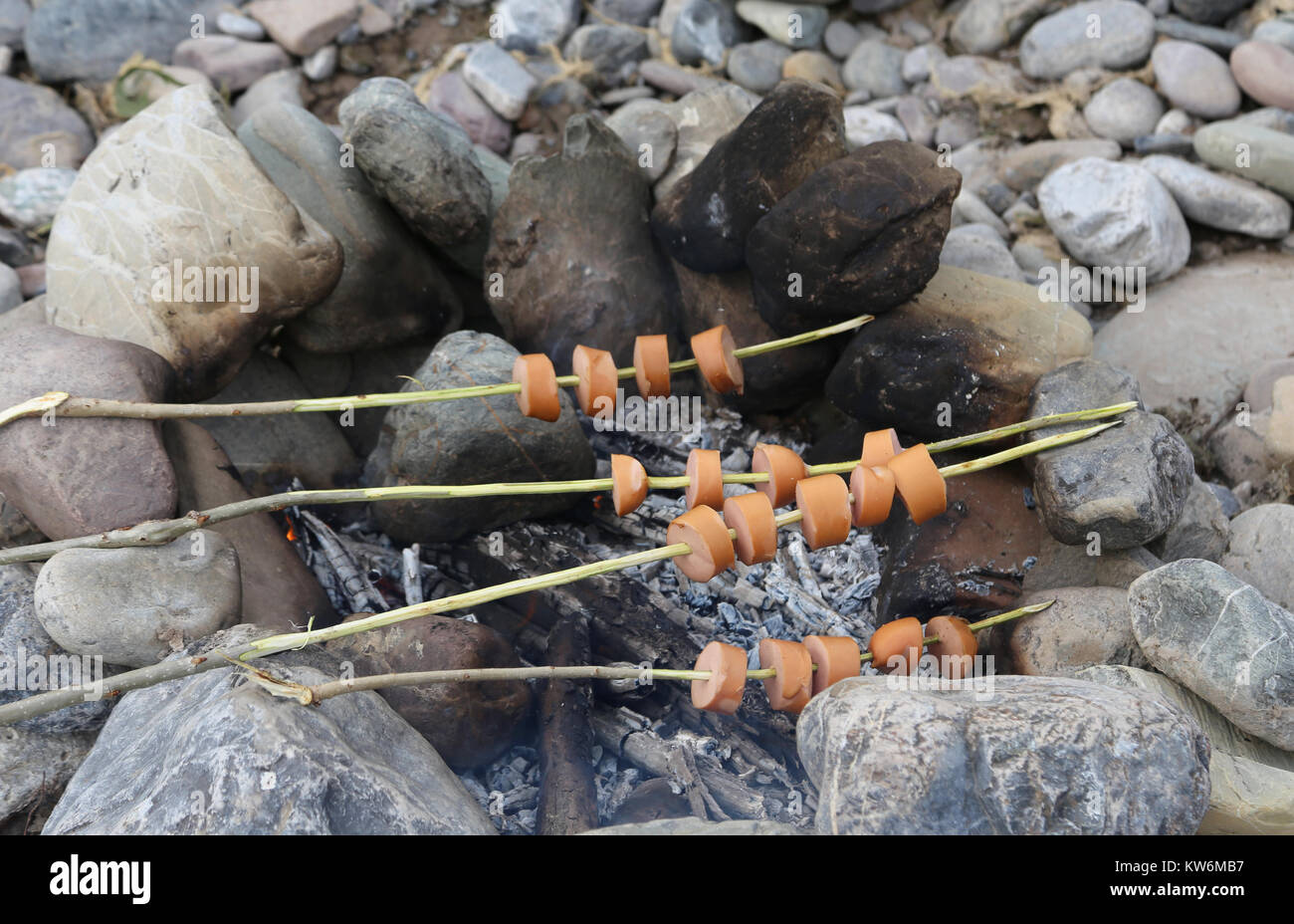 bonfire with stones to cook wurstel flavors during the boy scout camp ...