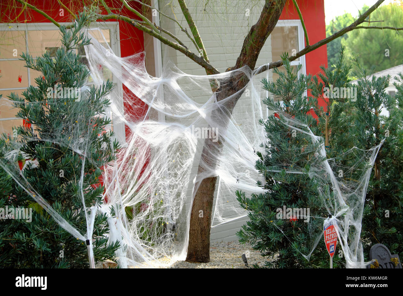 Los ángeles halloween garden hi-res stock photography and images - Alamy