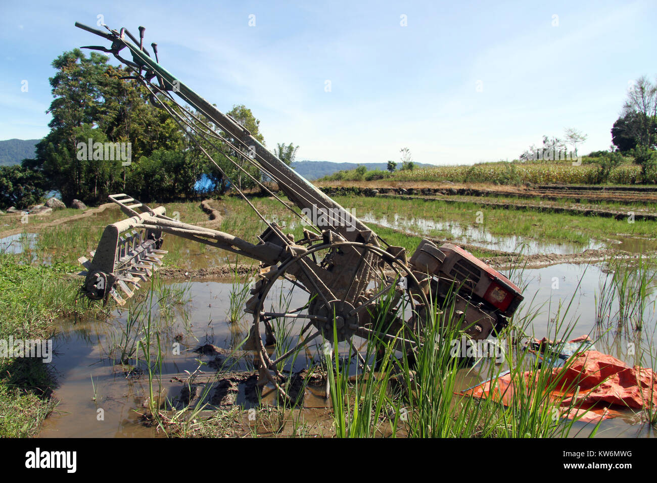 Water wheel rice field rice hi-res stock photography and images - Alamy