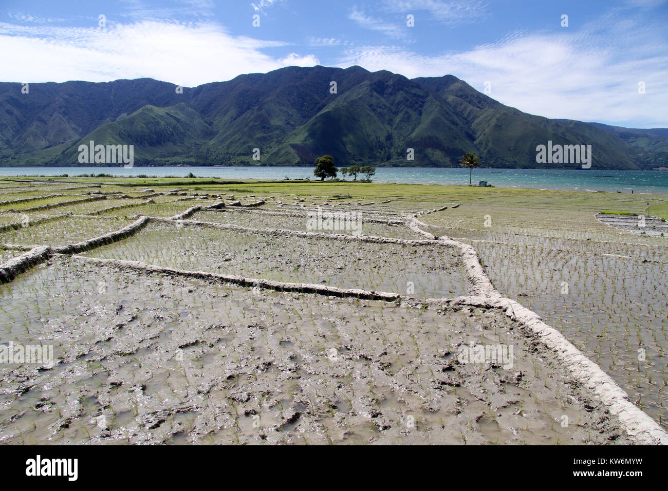 Samosir island hi-res stock photography and images - Alamy