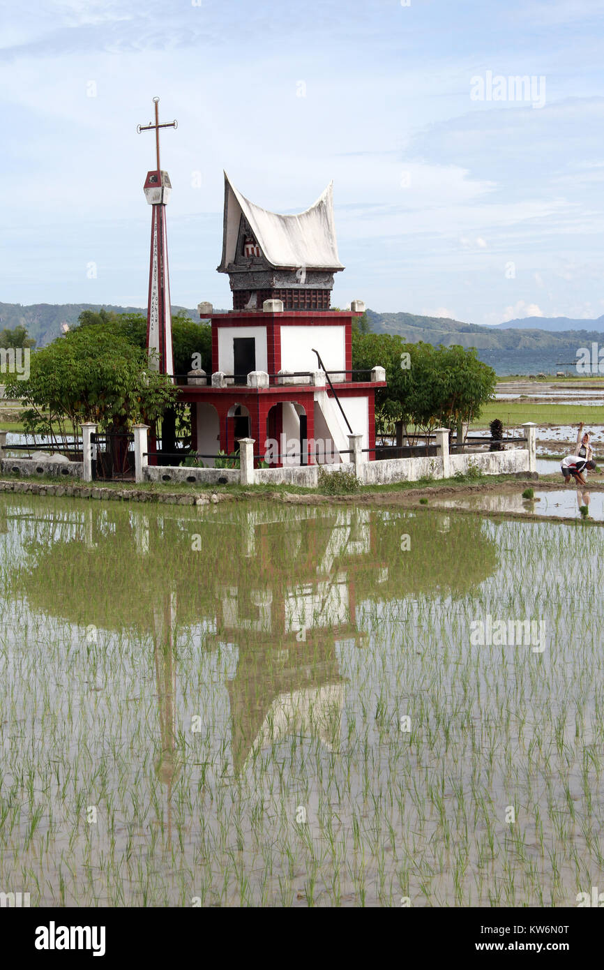 Batak grave and rice field in Samosir island, Indonesia Stock Photo - Alamy