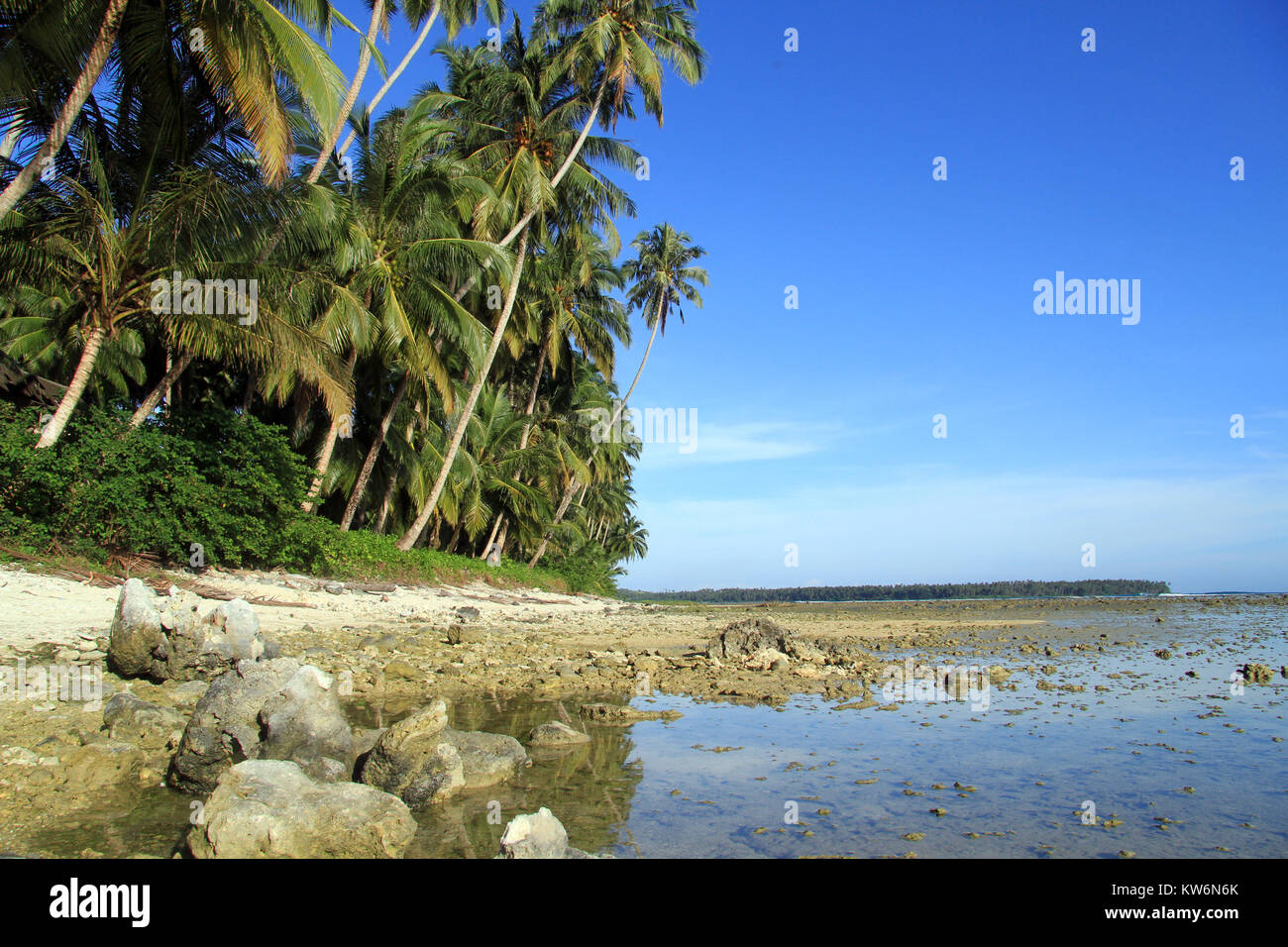 Nias hi-res stock photography and images - Alamy