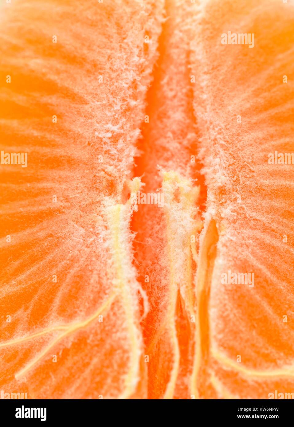 Orange segments hi-res stock photography and images - Alamy