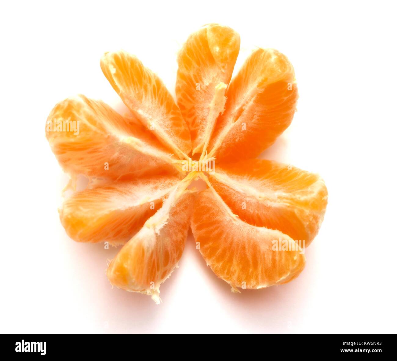 Segments Cut Out Stock Images & Pictures - Alamy