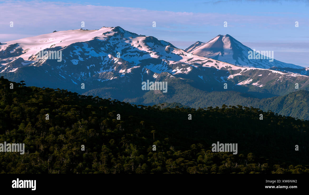 Volcán LLaima /LLaima Volcano, Araucania Region, Chile Stock Photo - Alamy