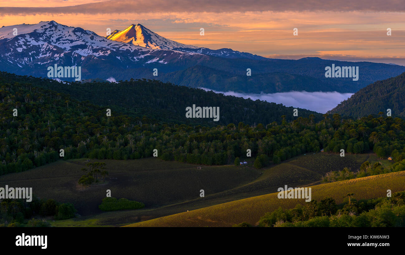 Volcán LLaima /LLaima Volcano, Araucania Region, Chile Stock Photo - Alamy