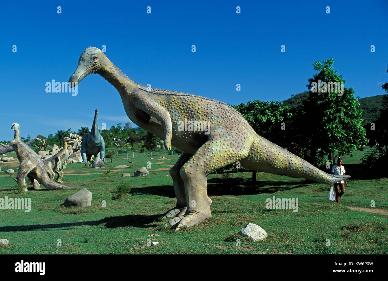 Baconao hi-res stock photography and images - Alamy