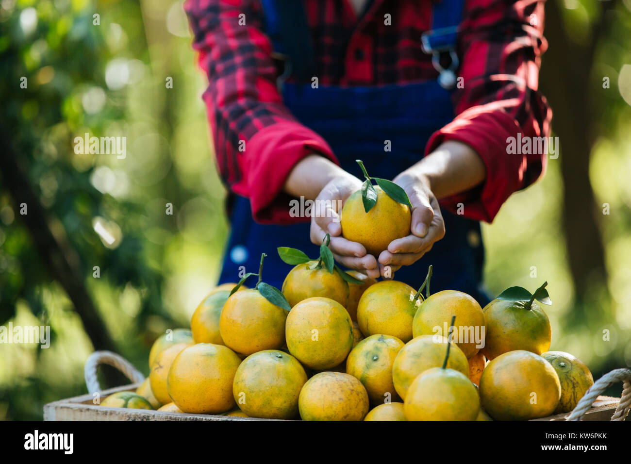 Orange farmer hi-res stock photography and images - Alamy