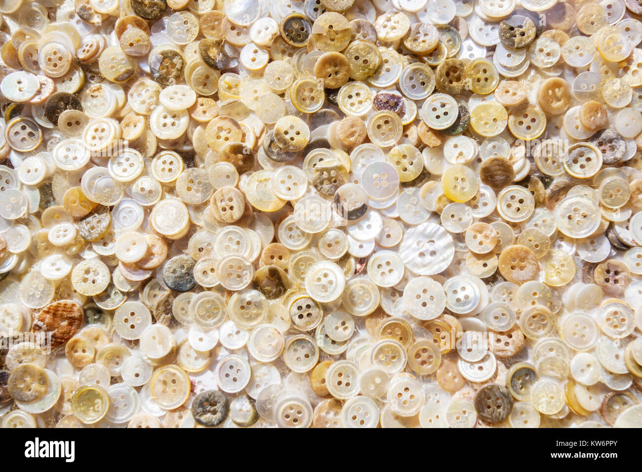 Pearl buttons hi-res stock photography and images - Alamy