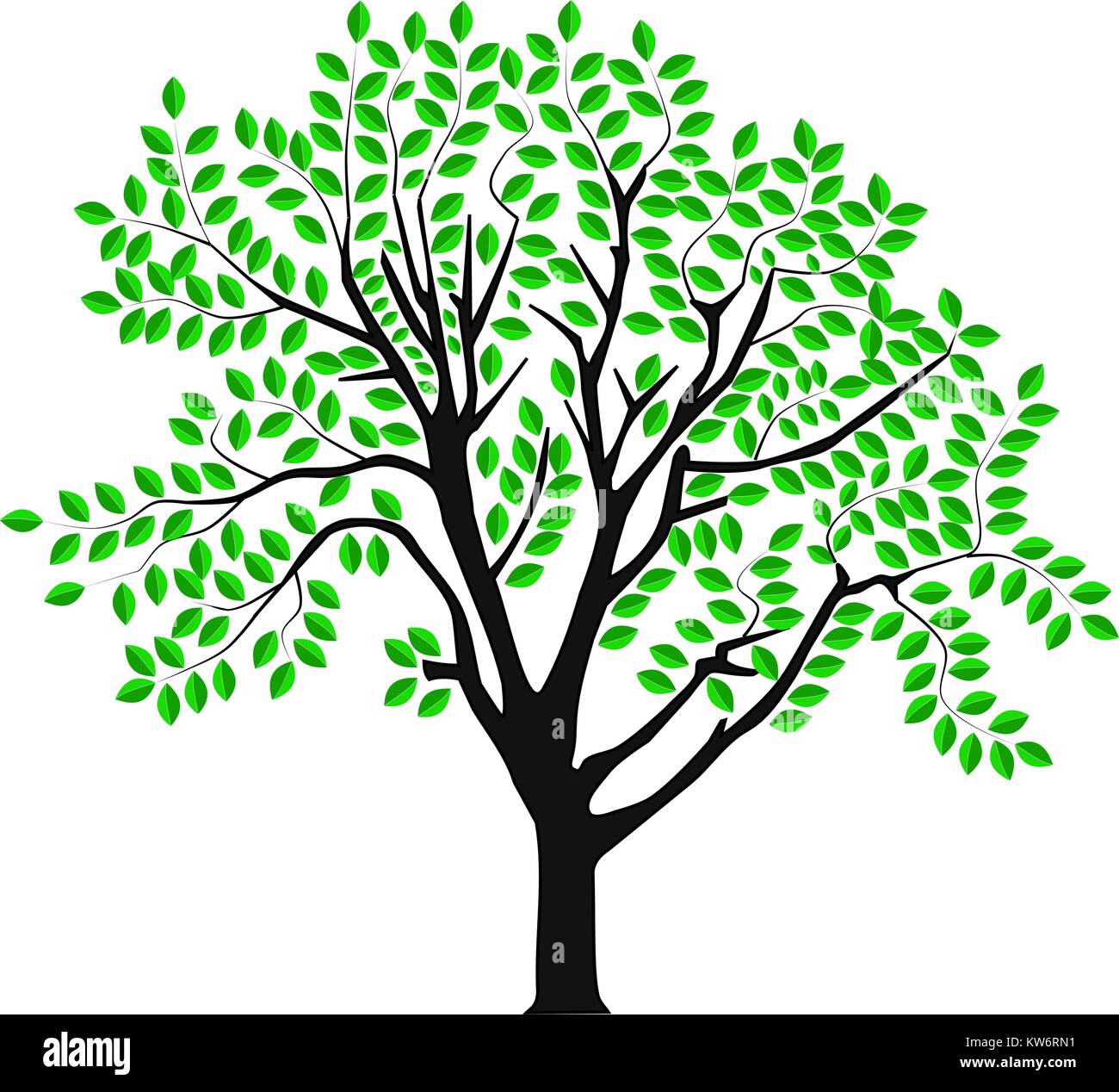 vector image of a tree in spring Stock Vector Image & Art - Alamy