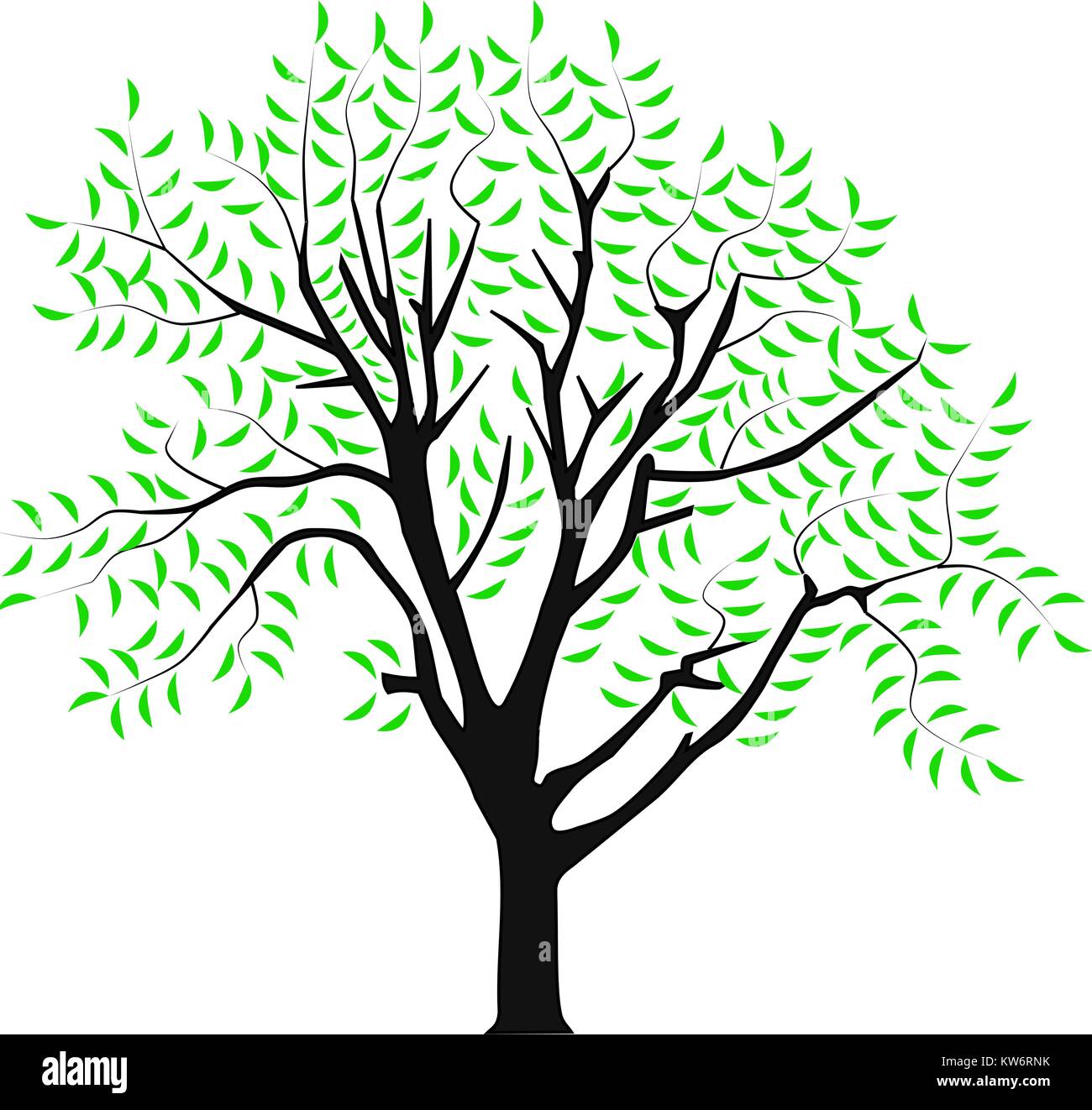 Branching tree Stock Vector Images - Alamy