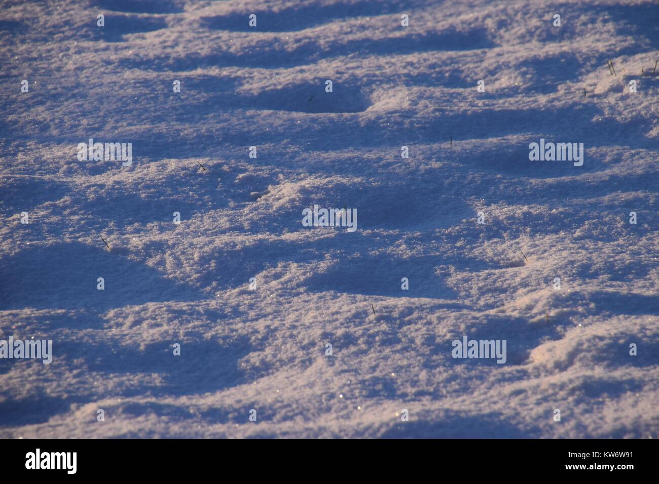 Shining powder hi-res stock photography and images - Alamy