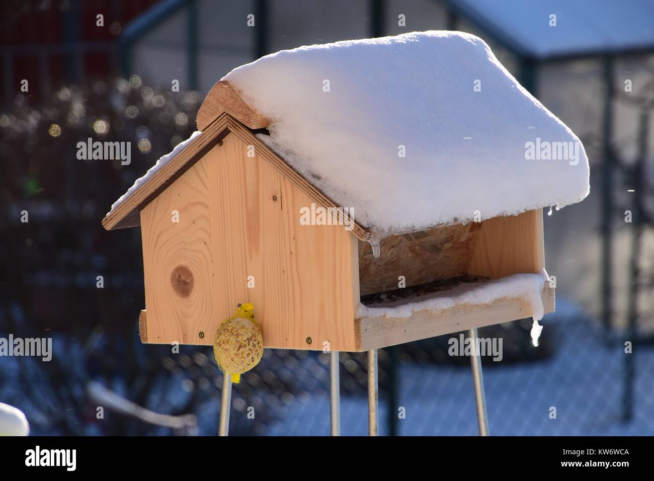 bird box with snow at the top of the roof Stock Photo - Alamy