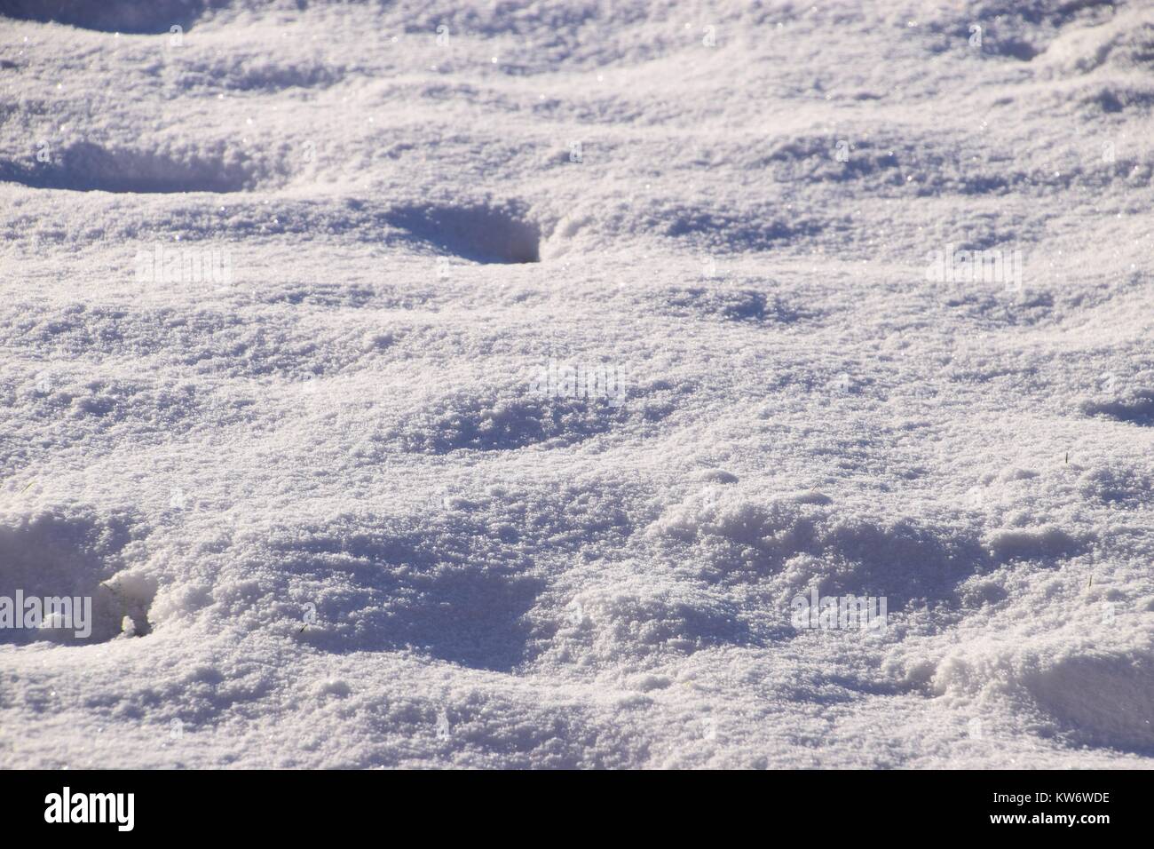 White pure snow texture, background of fresh snow texture, rough snowy ...