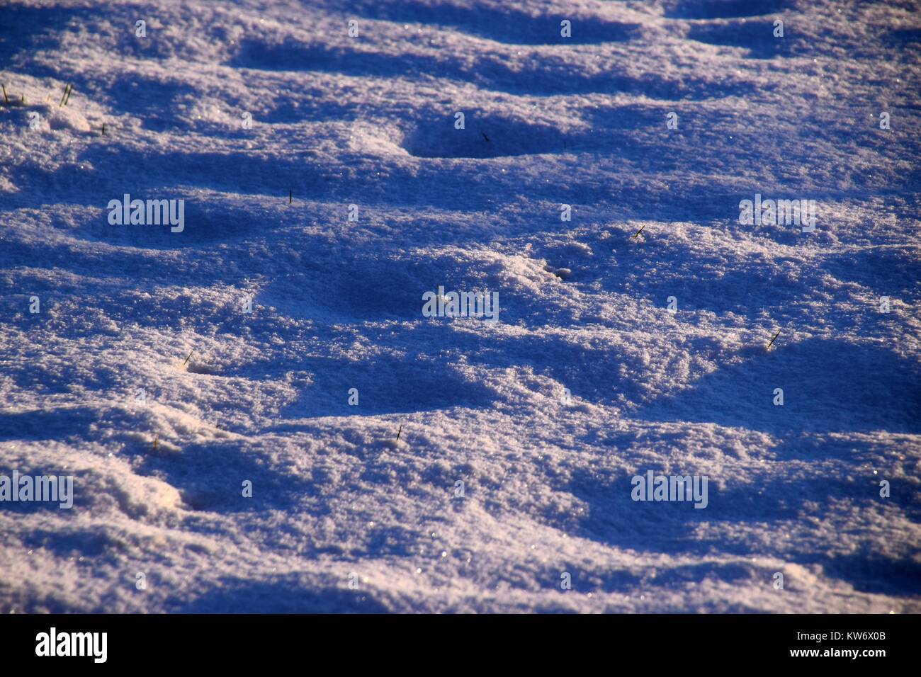Shining powder hi-res stock photography and images - Alamy