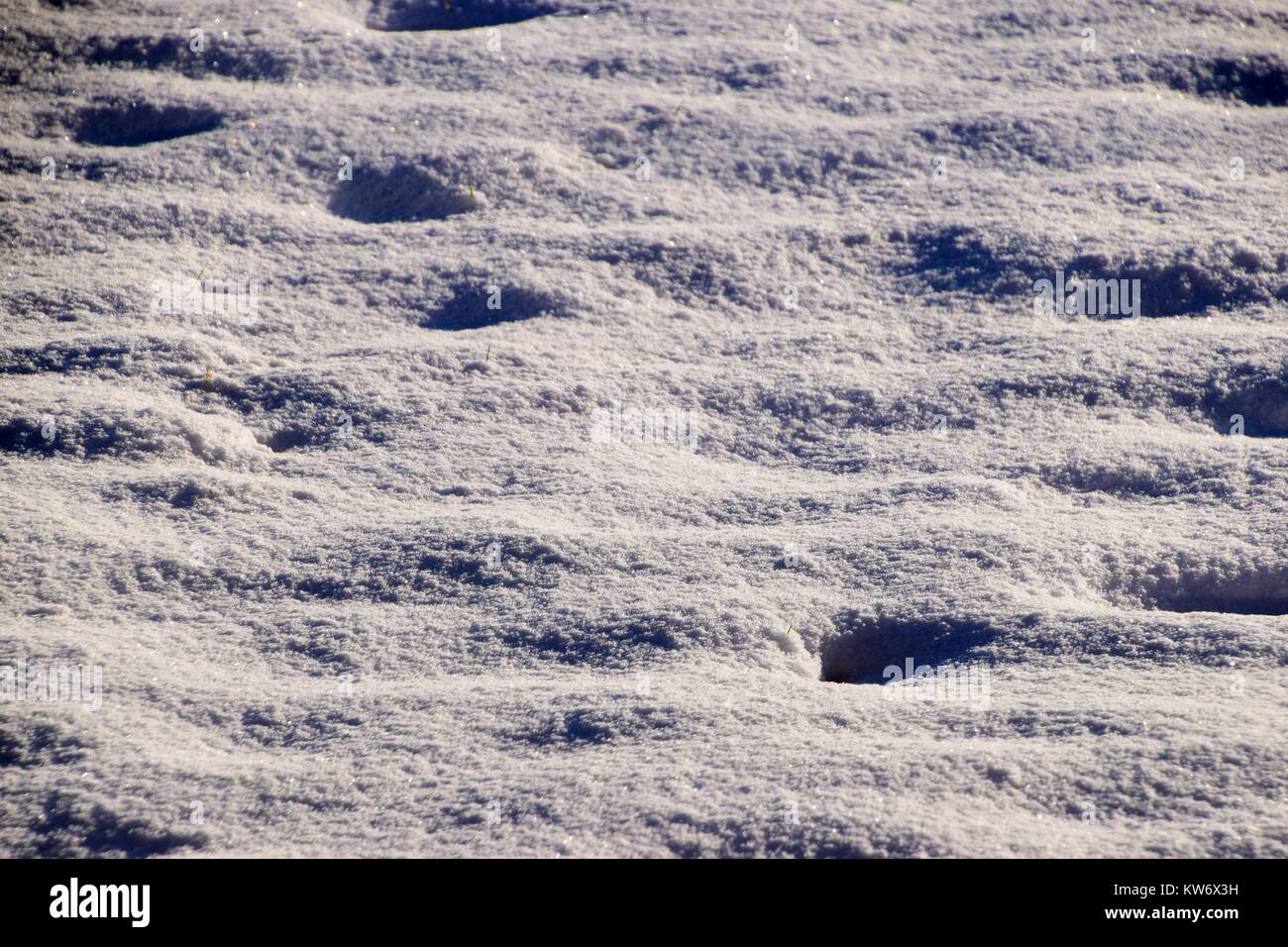 White pure snow texture, background of fresh snow texture, rough snowy ...