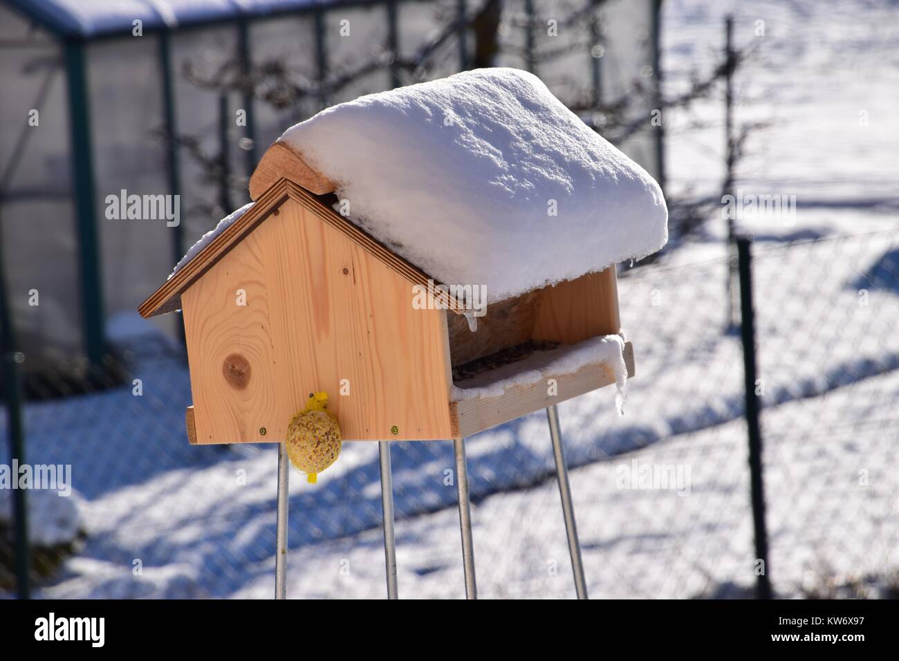 Bird box under snow during the winter Stock Photo - Alamy
