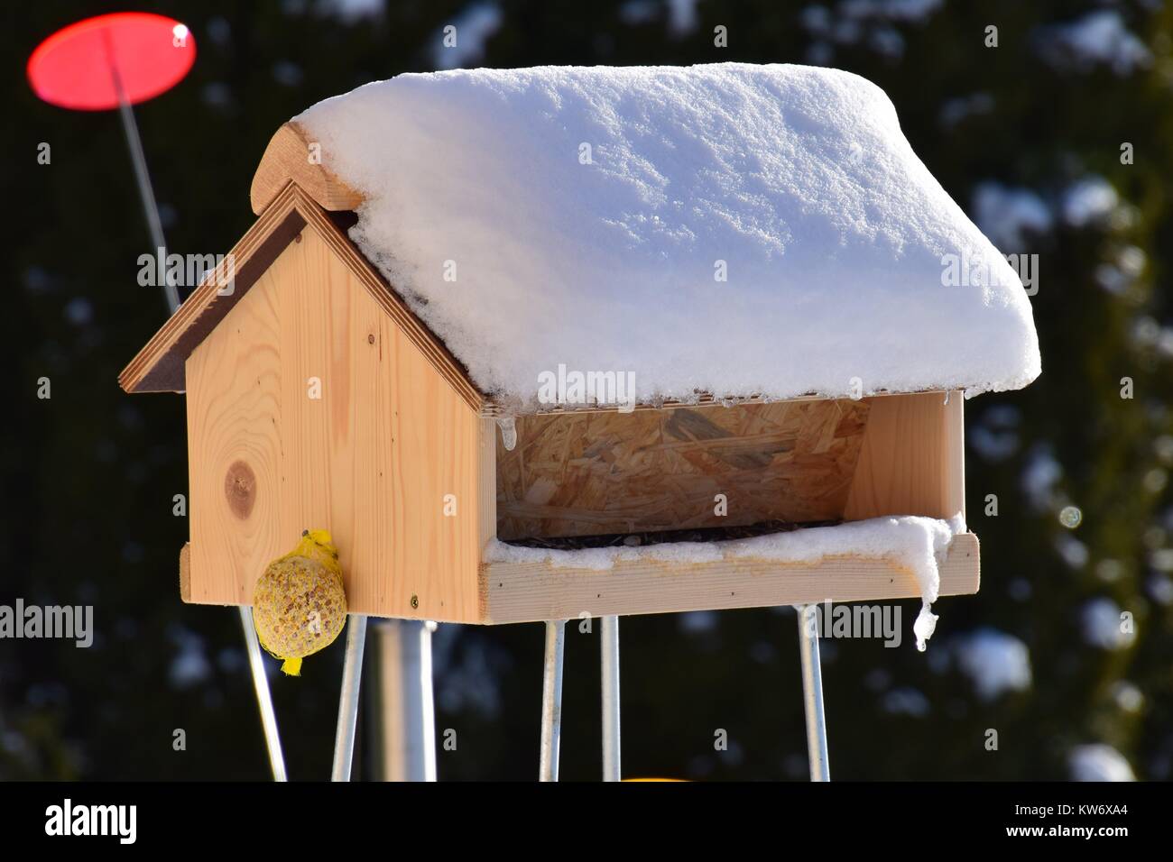 Bird box under snow during the winter Stock Photo - Alamy