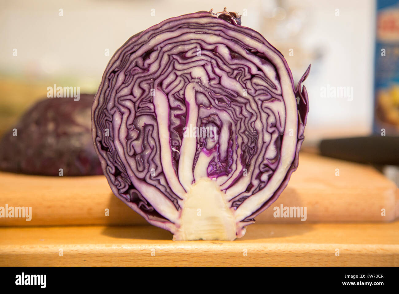 Side view of half red cabbage close up Stock Photo - Alamy