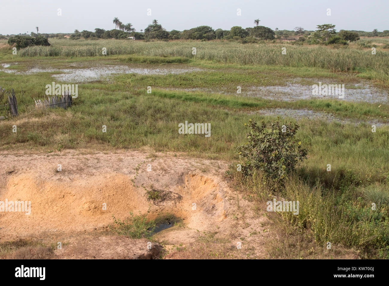 Kartong the gambia west africa hi-res stock photography and images - Alamy