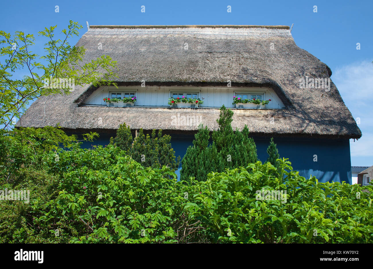 Green thatched roof hi-res stock photography and images - Alamy
