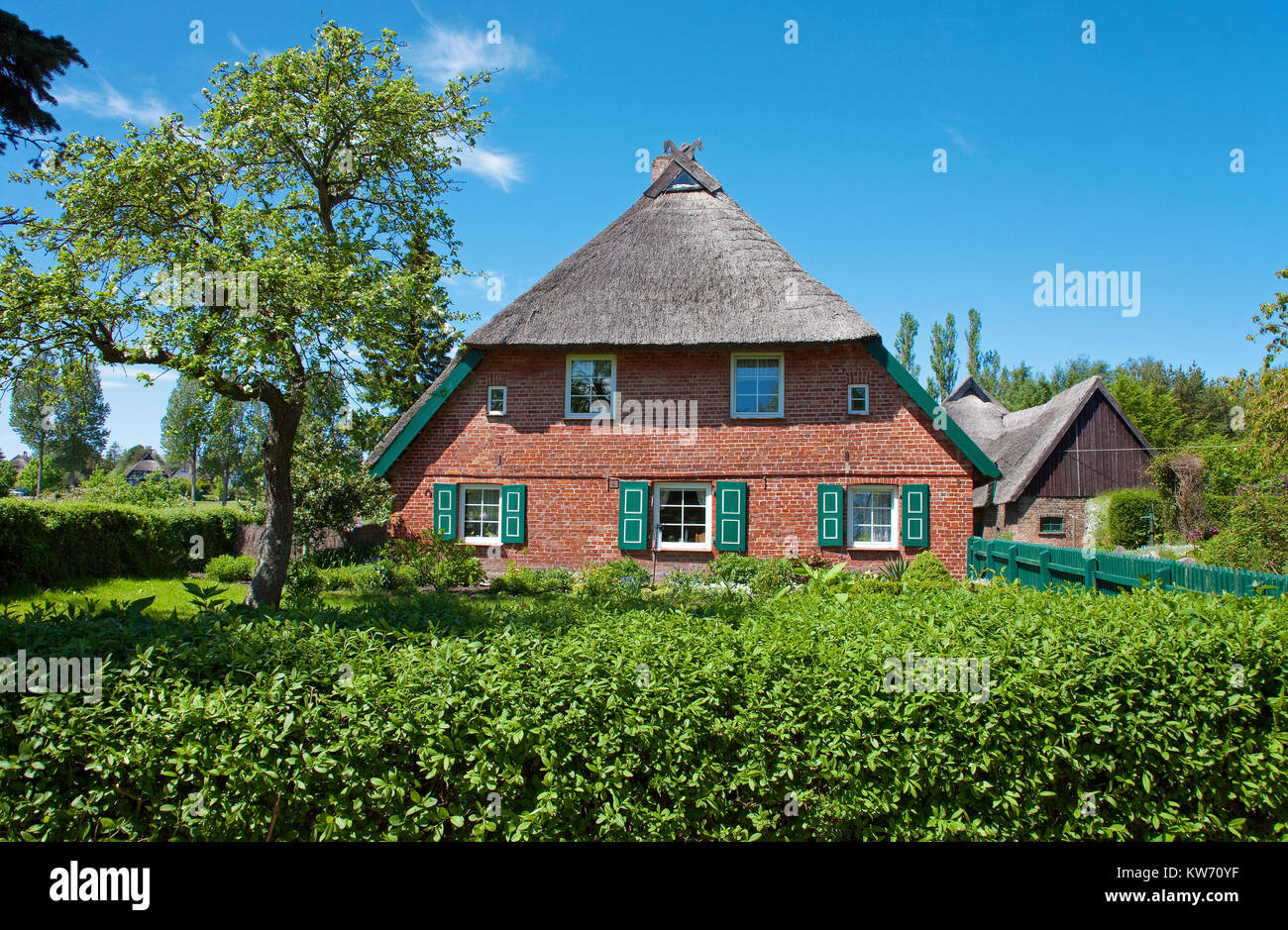 Thatched-roof houses at the village Althagen, Ahrenshoop, Fishland ...