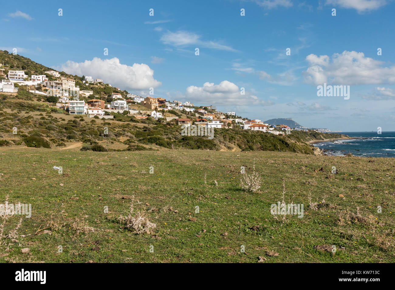 Carnero hi-res stock photography and images - Alamy