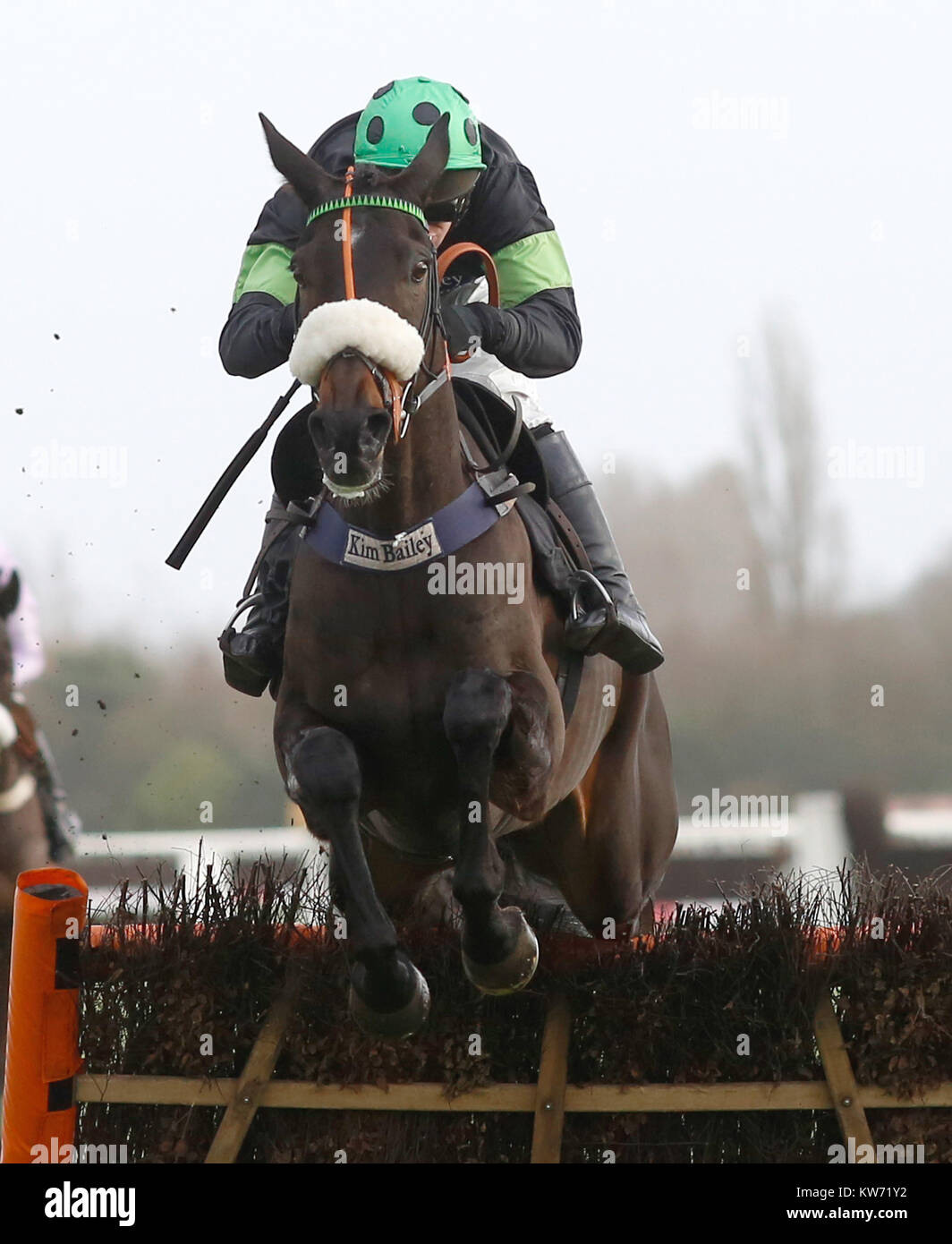 First flow horse hi-res stock photography and images - Alamy