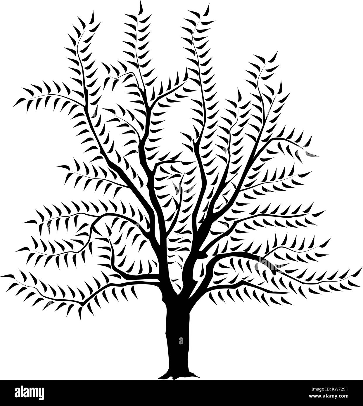 Trees foliage in spring Black and White Stock Photos & Images - Alamy