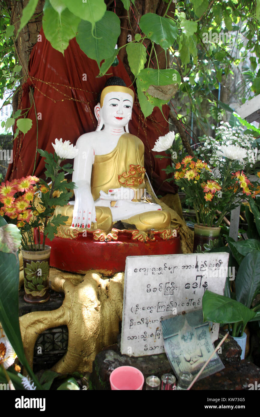 Buddha under big tree hi-res stock photography and images - Alamy