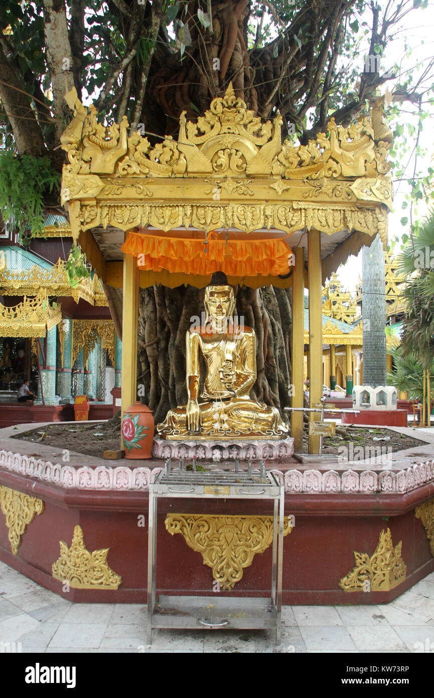 Golden Buddha under sacral tree nar Shwe Dagon paya, Yangon, Myanmar ...