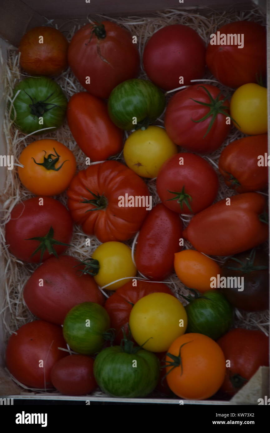 You're one of a kind. A crate of tomatoes all of them different Stock ...