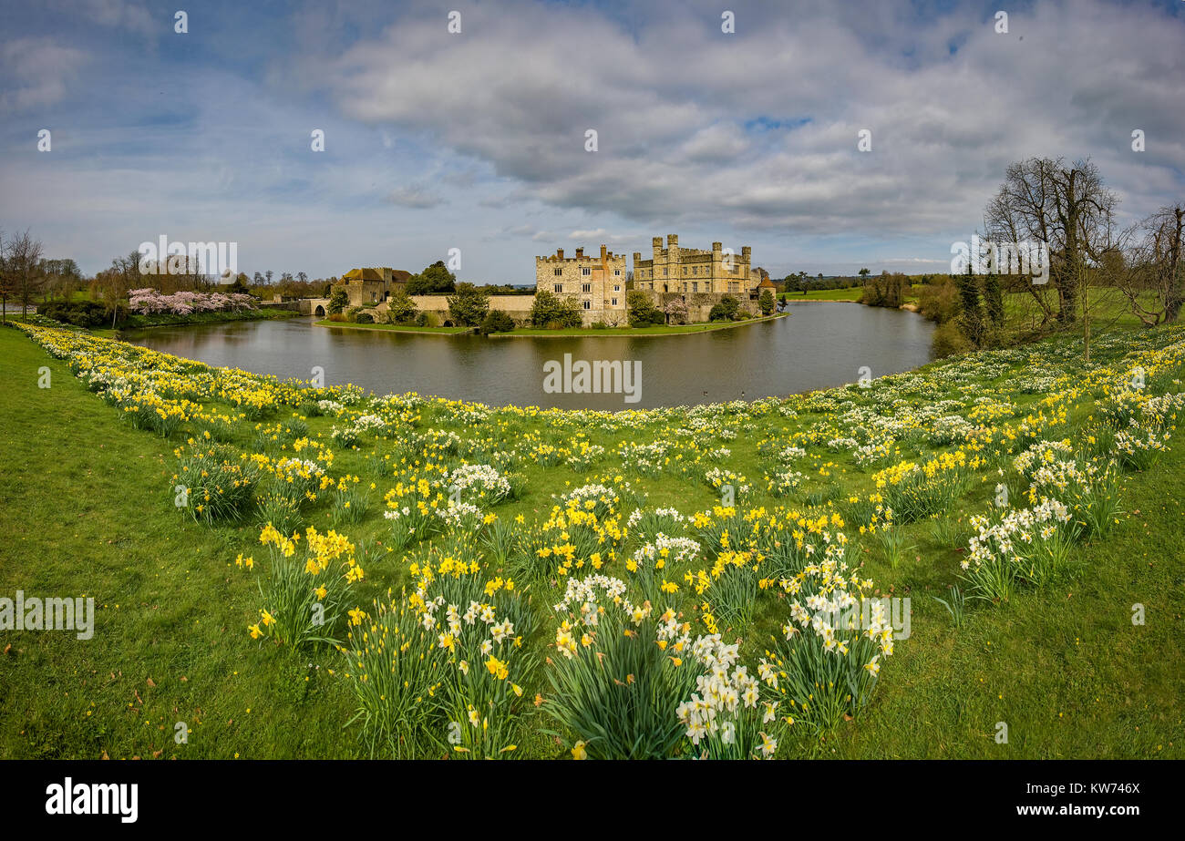 Spring flowers at Leeds Castle Stock Photo - Alamy