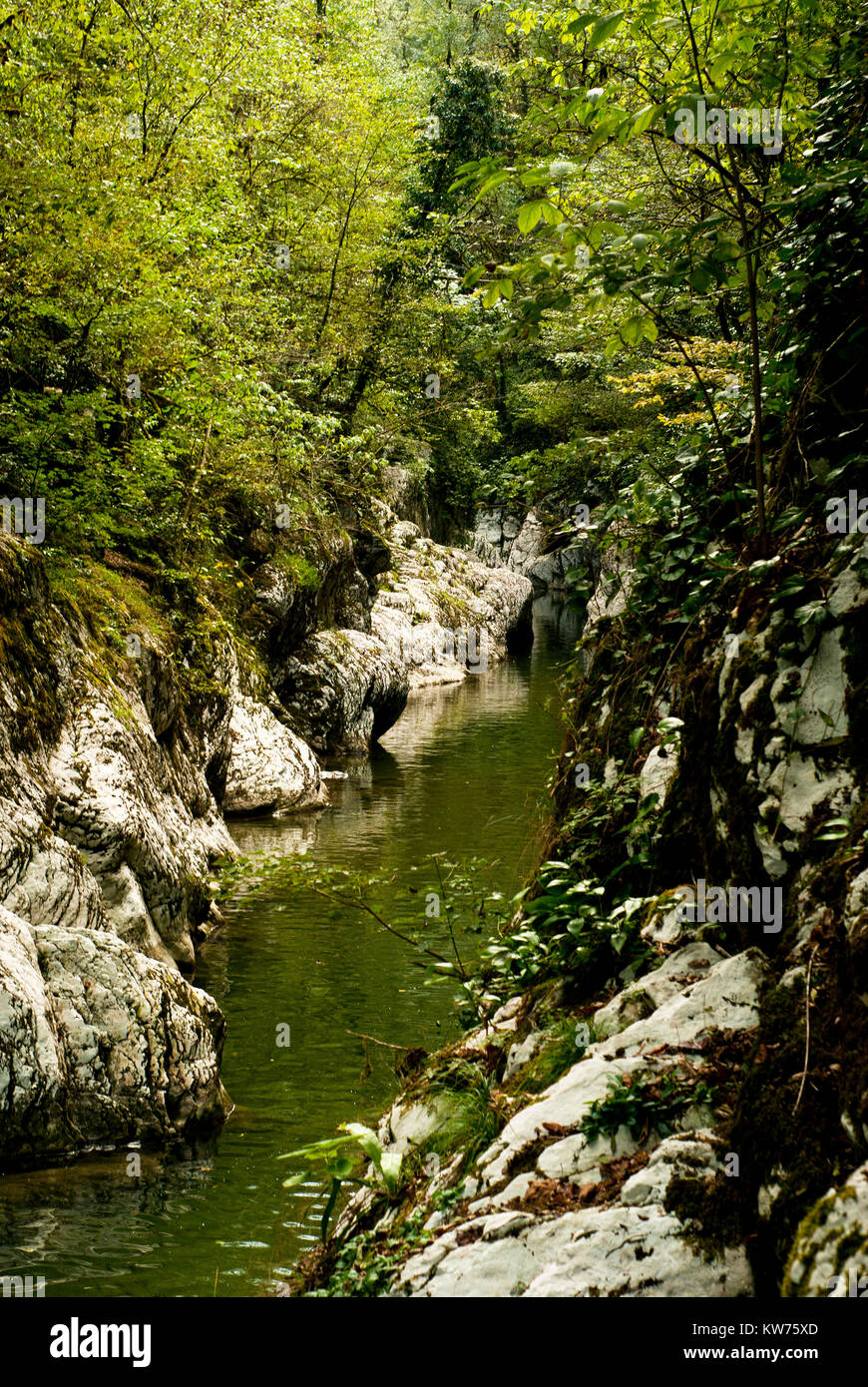 A narrow canyon of a small river, cutting a rocky base in a mountain ...