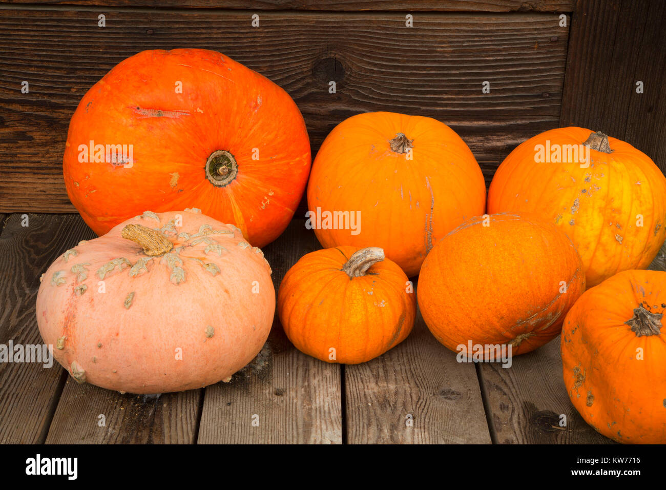 Pumpkins, Fort Vancouver National Historic Site, Vancouver National ...