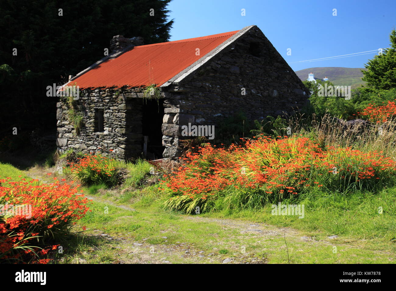 old style farm dwelling with rusty colored roof, glencar, county kerry ...