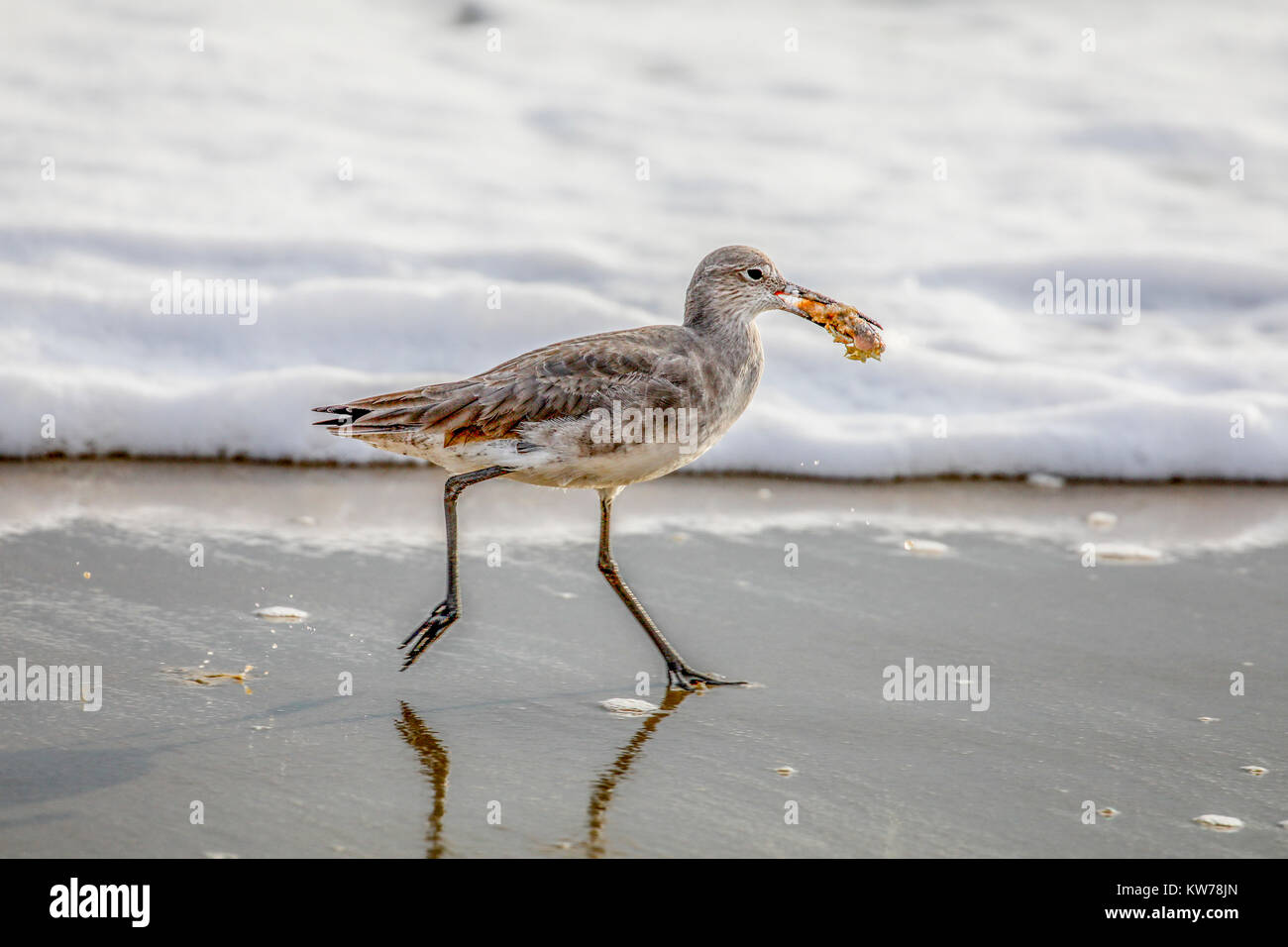 From others hi-res stock photography and images - Alamy