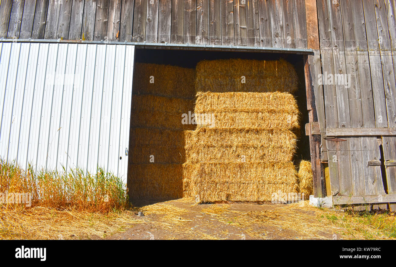 Hay bales inside a barn in the pacific northwest countryside of the ...